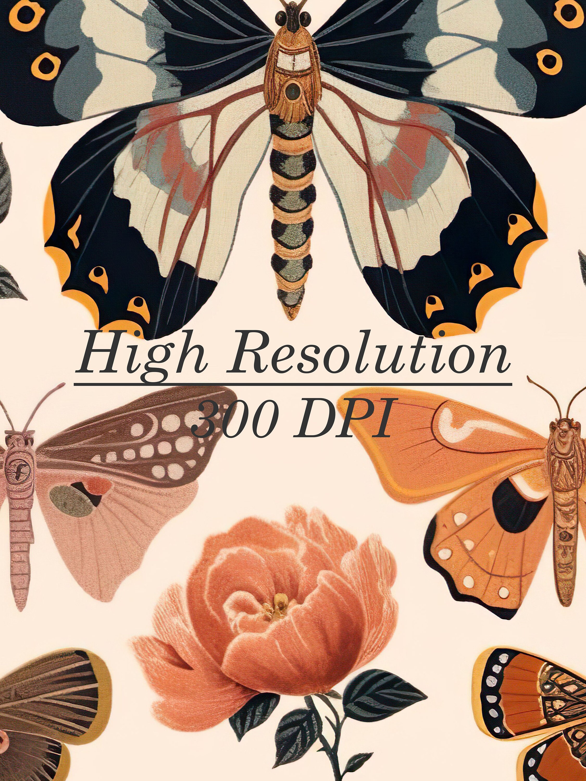 Boho Butterfly Art Butterfly Set of 2 Boho Butterfly Print - Etsy