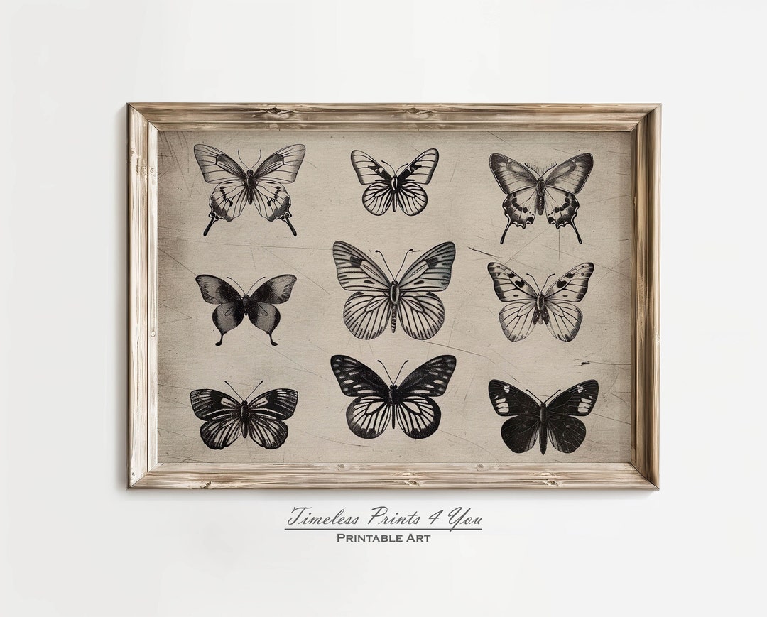 Butterfly Print, Butterfly Art Print, Butterfly Prints, Butterfly Wall ...