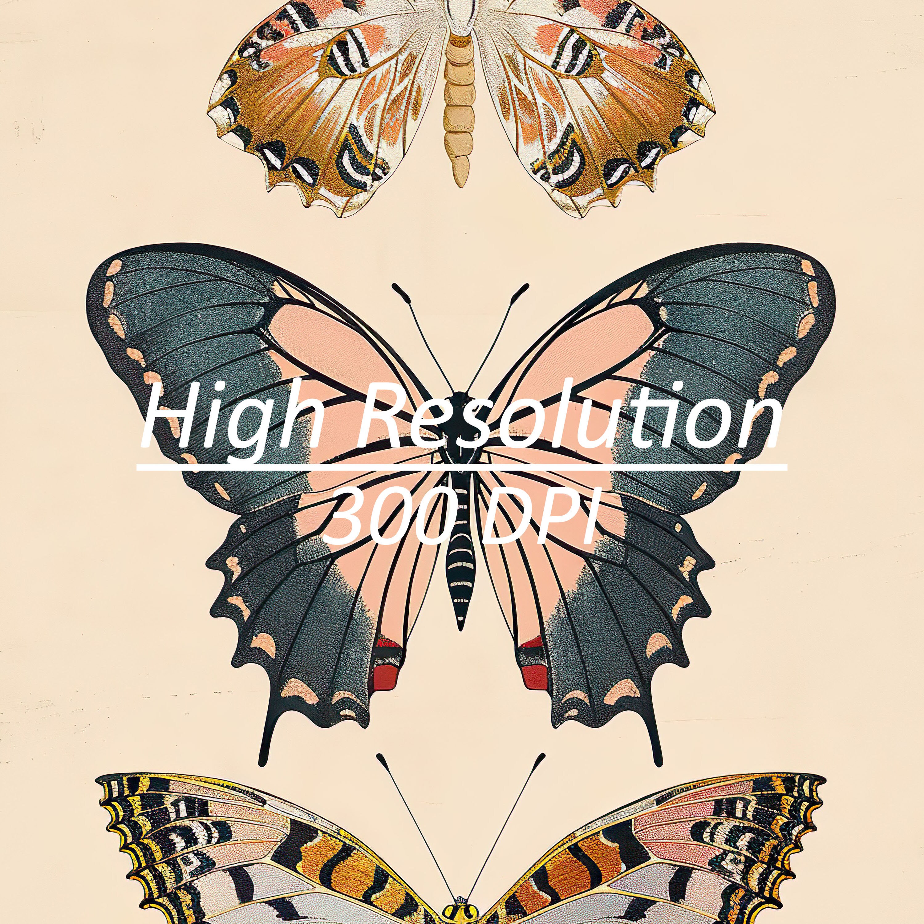 Butterfly Print Butterfly Art Print Butterfly Prints Butterfly Wall Art ...