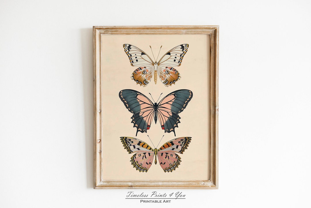 Butterfly Print Butterfly Art Print Butterfly Prints Butterfly Wall Art ...
