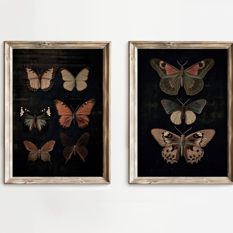 Butterfly 8x10 - Etsy