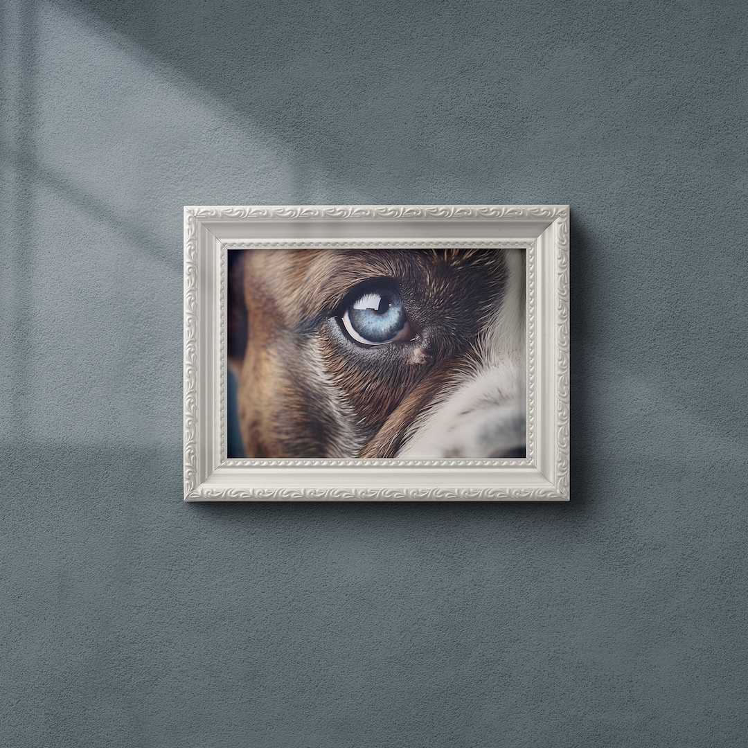 Close-up American Bully Portrait, Printable Wall Art, Instant Download ...