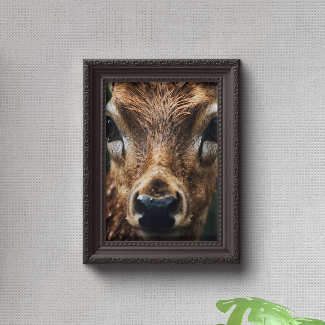 Deer Portrait, Photo Realistic Digital Art Printable Instant Download ...