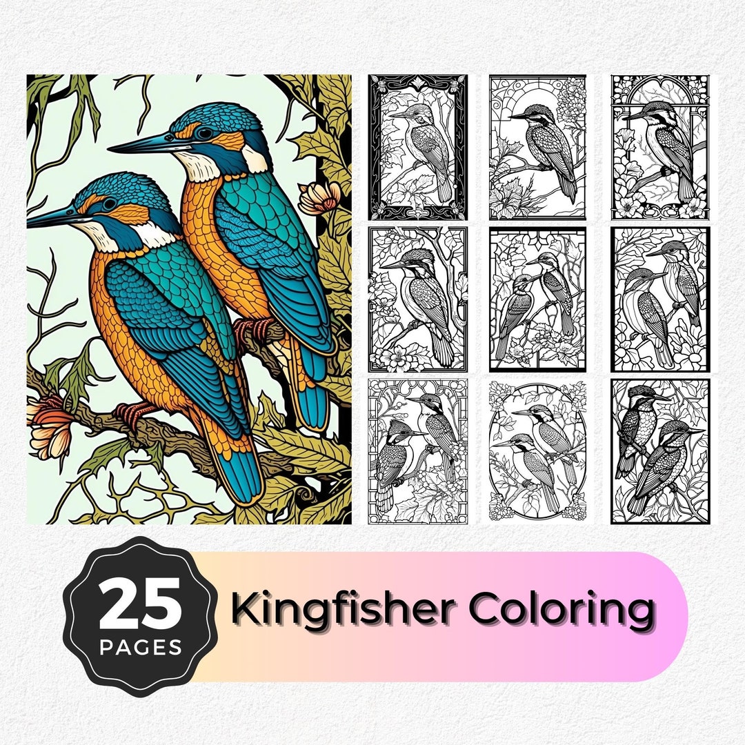Digital Kingfisher Coloring Pages Set - 25 Printable Adult and Kids ...