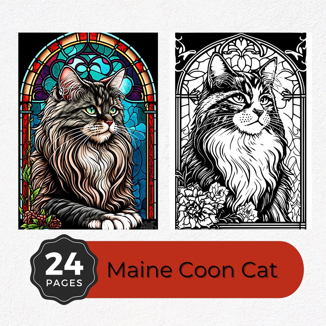 Majestic Maine Coon: 24 Maine Coon Cat Coloring Sheets Ideal - Etsy