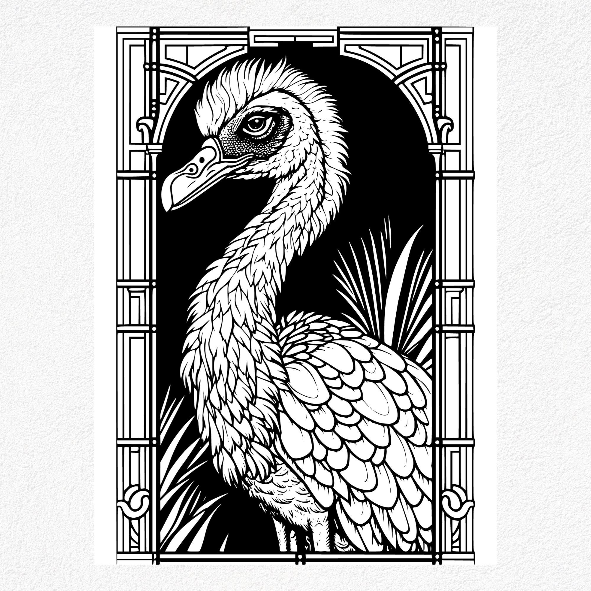 36 Ostrich Coloring Pages Printable Ostrich Coloring Sheets - Etsy