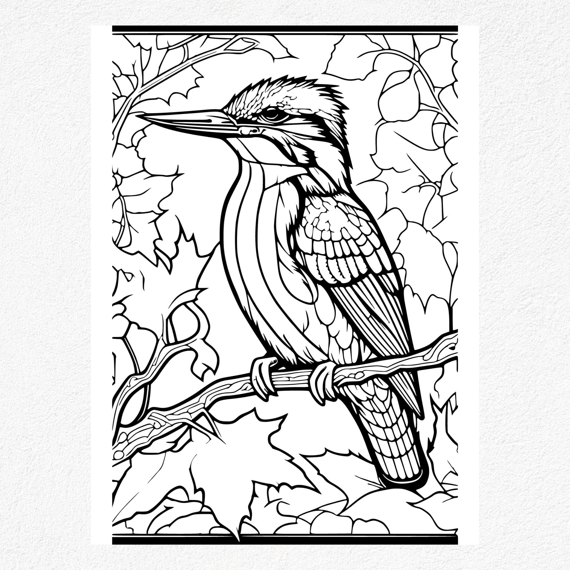 Digital Kingfisher Coloring Pages Set 25 Printable Adult and - Etsy