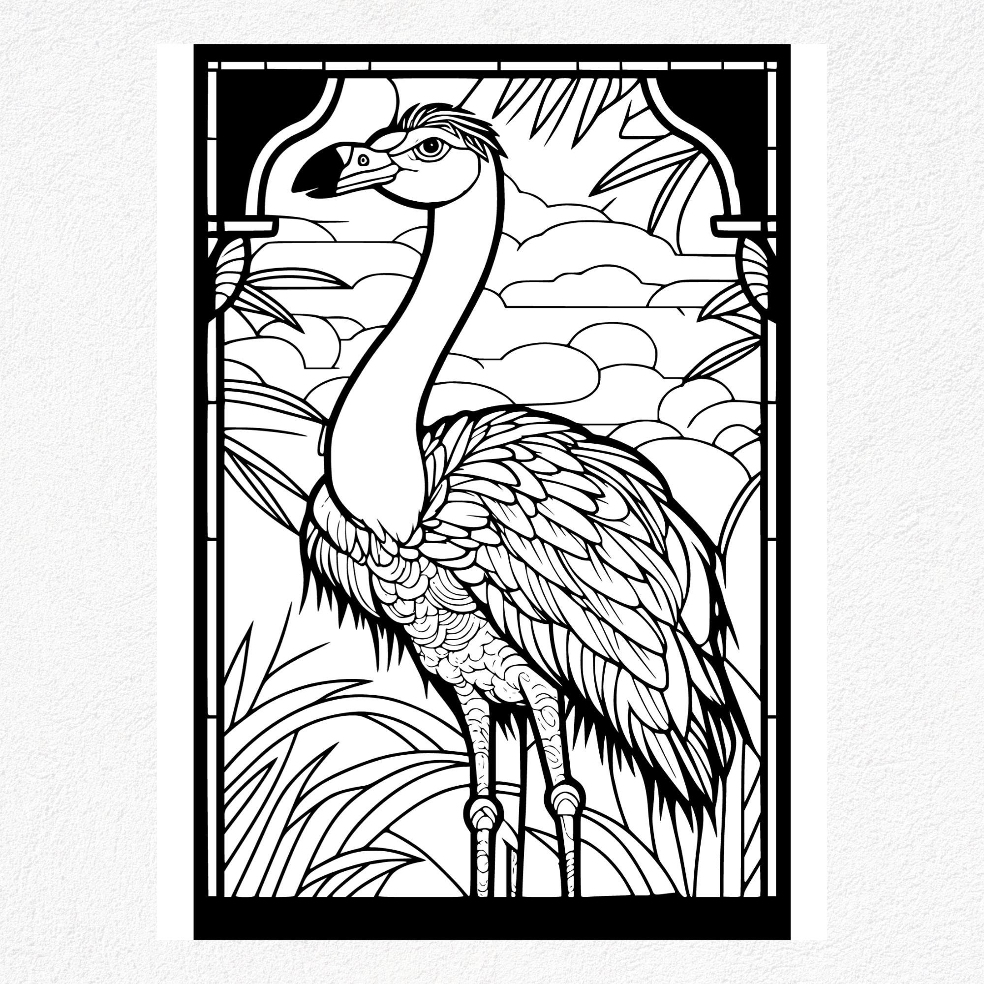 36 Ostrich Coloring Pages Printable Ostrich Coloring Sheets - Etsy