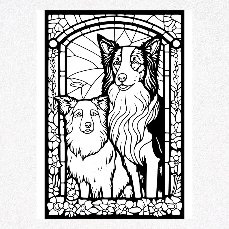 Border Collie Printable Coloring Bundle 29 Instant Download Pages for ...