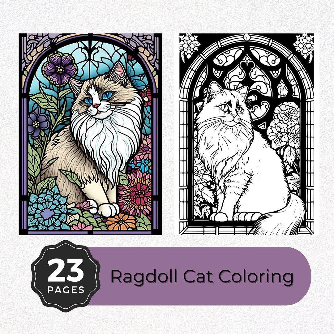23 Ragdoll Cat Coloring Pages, Intricately Designed in a Mesmerizing ...