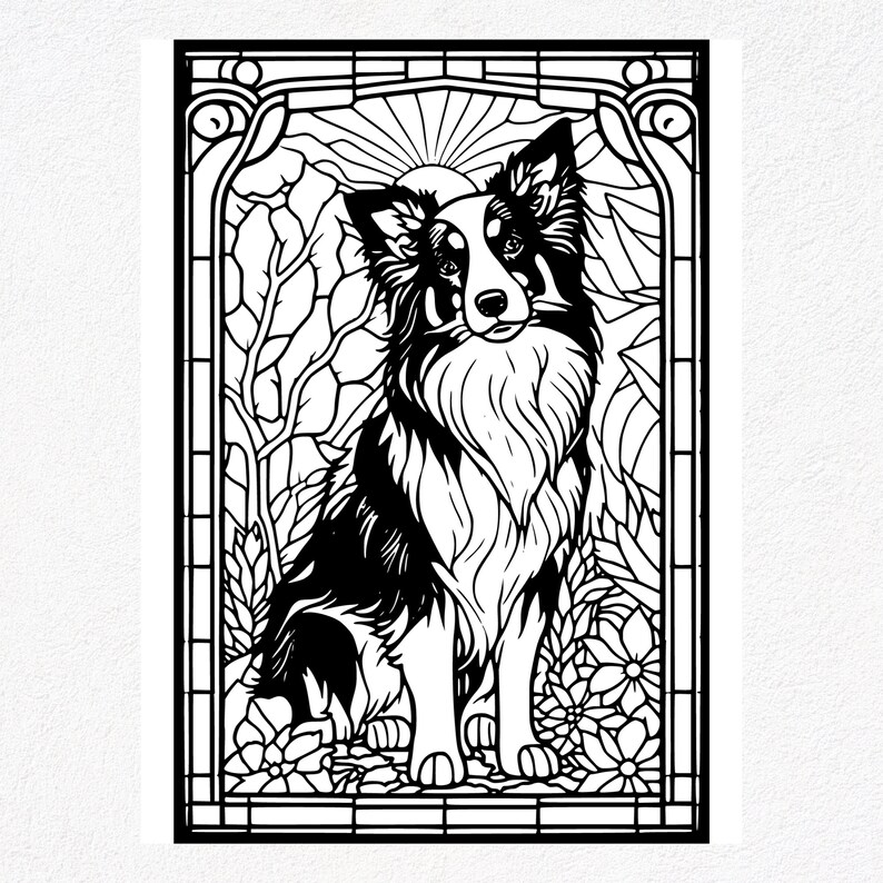 Border Collie Printable Coloring Bundle - 29 Instant Download Pages for ...