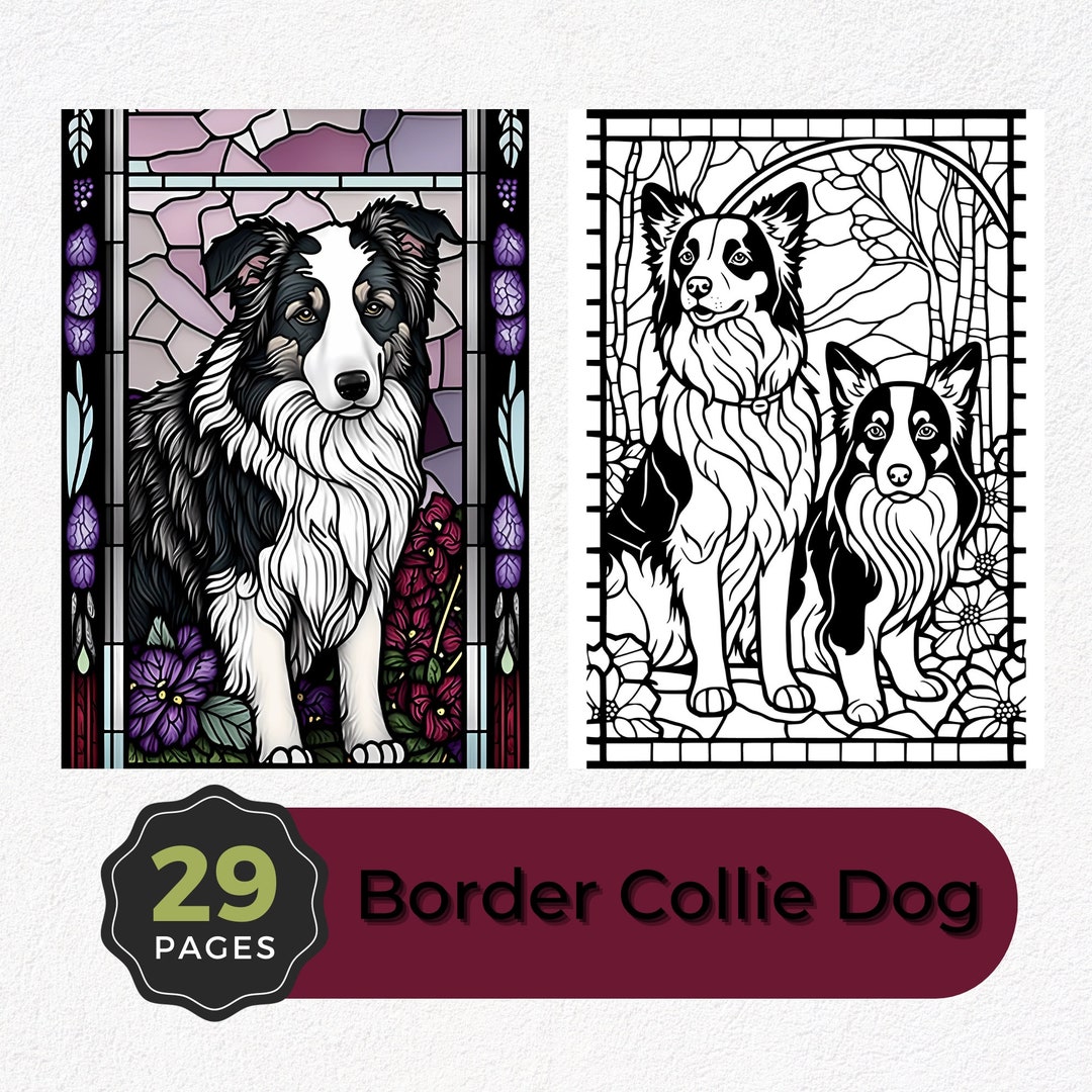Border Collie Printable Coloring Bundle - 29 Instant Download Pages for ...