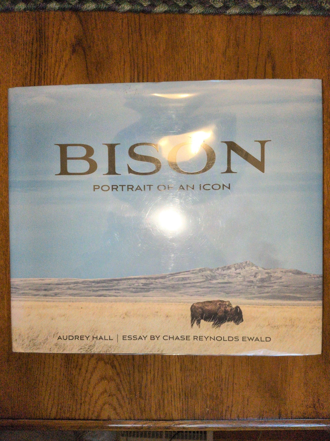 Book: Bison Portrait of an Icon Andrey Hall | Essay by Chase Reynolds ...