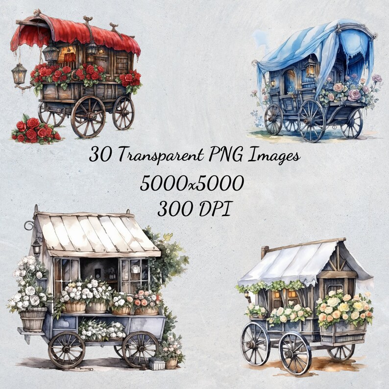 Rose Flower Cart PNG Clipart Floral Design for Canvas Wall Art Bundle ...