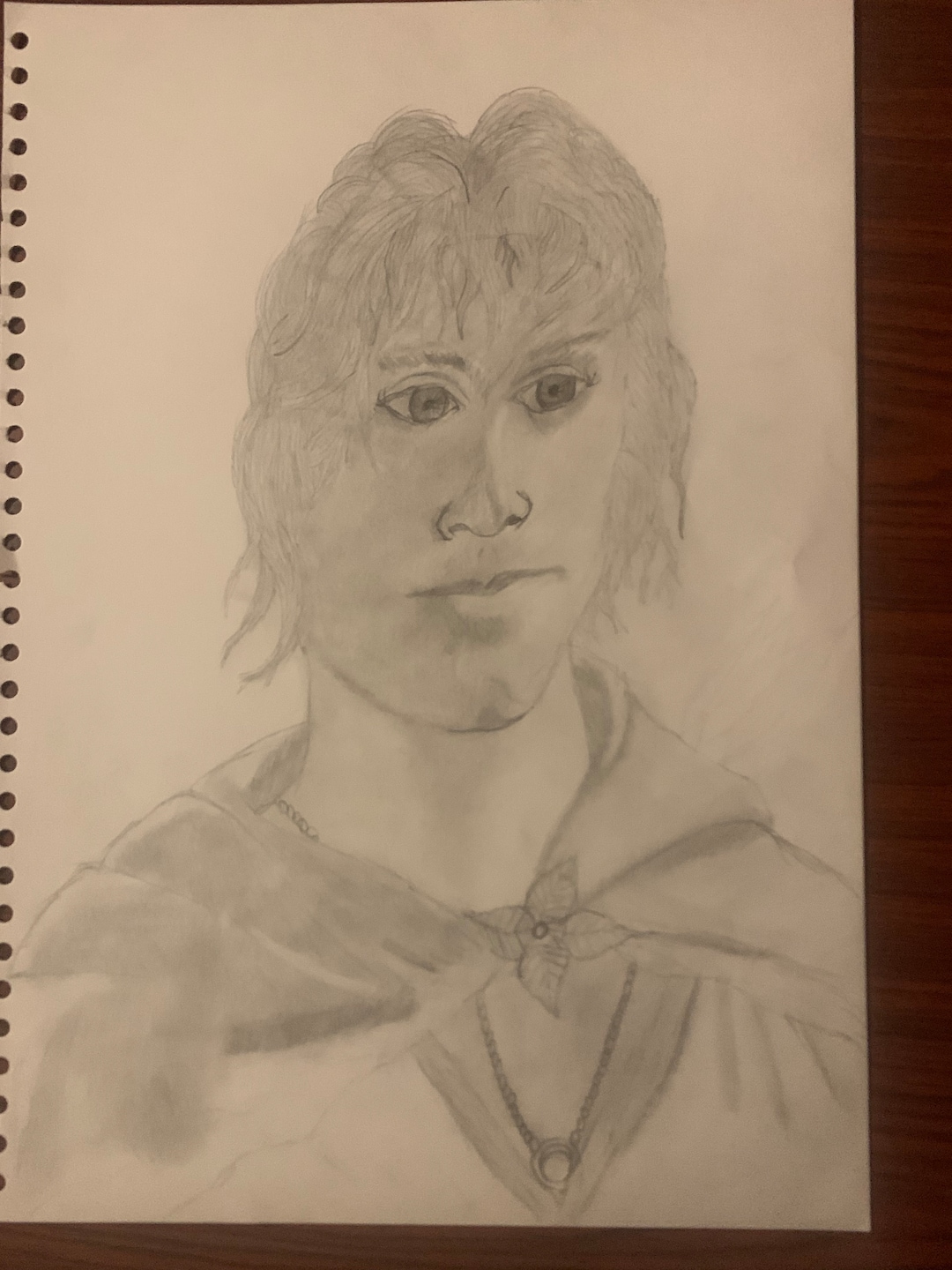Drawing of Frodo Bagins - Etsy
