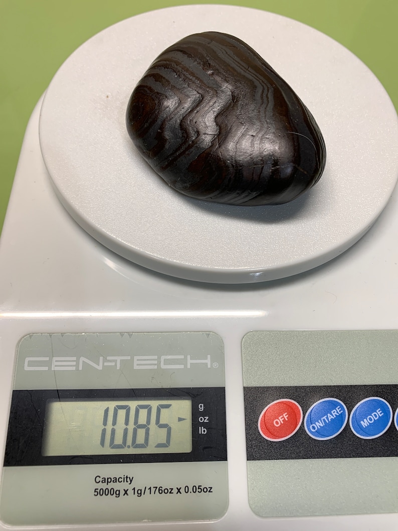 Wyoming Banded Iron/genesis Stone - Etsy