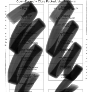 The Norms - ROM + Joint Positions for Physical Therapy Evaluation - Etsy