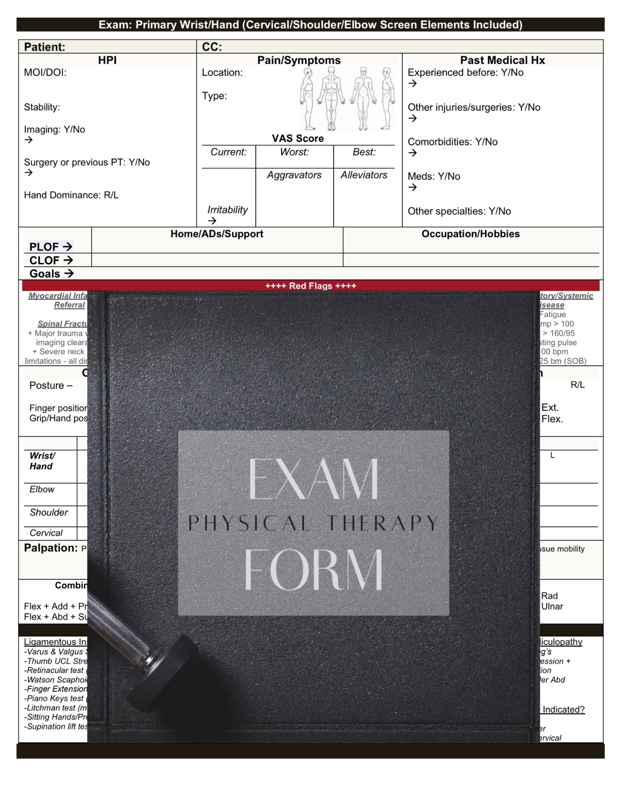 Detailed Physical Therapy Evaluation Forms - the PT Locale - Etsy