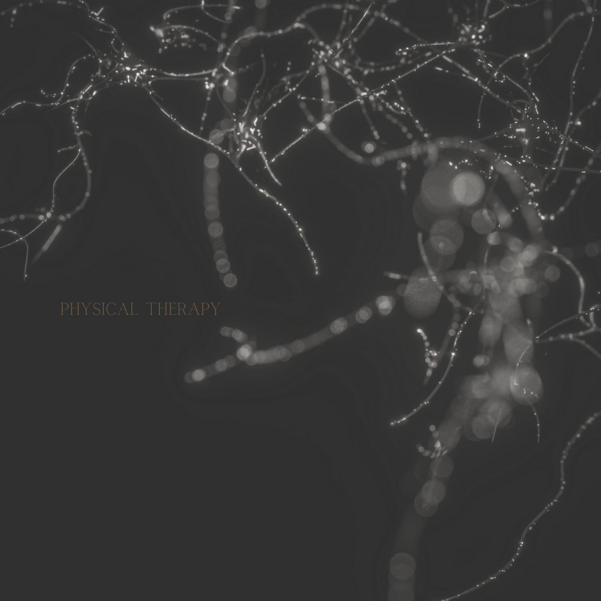 The Physical Therapy Glossy Sticker Set - Etsy