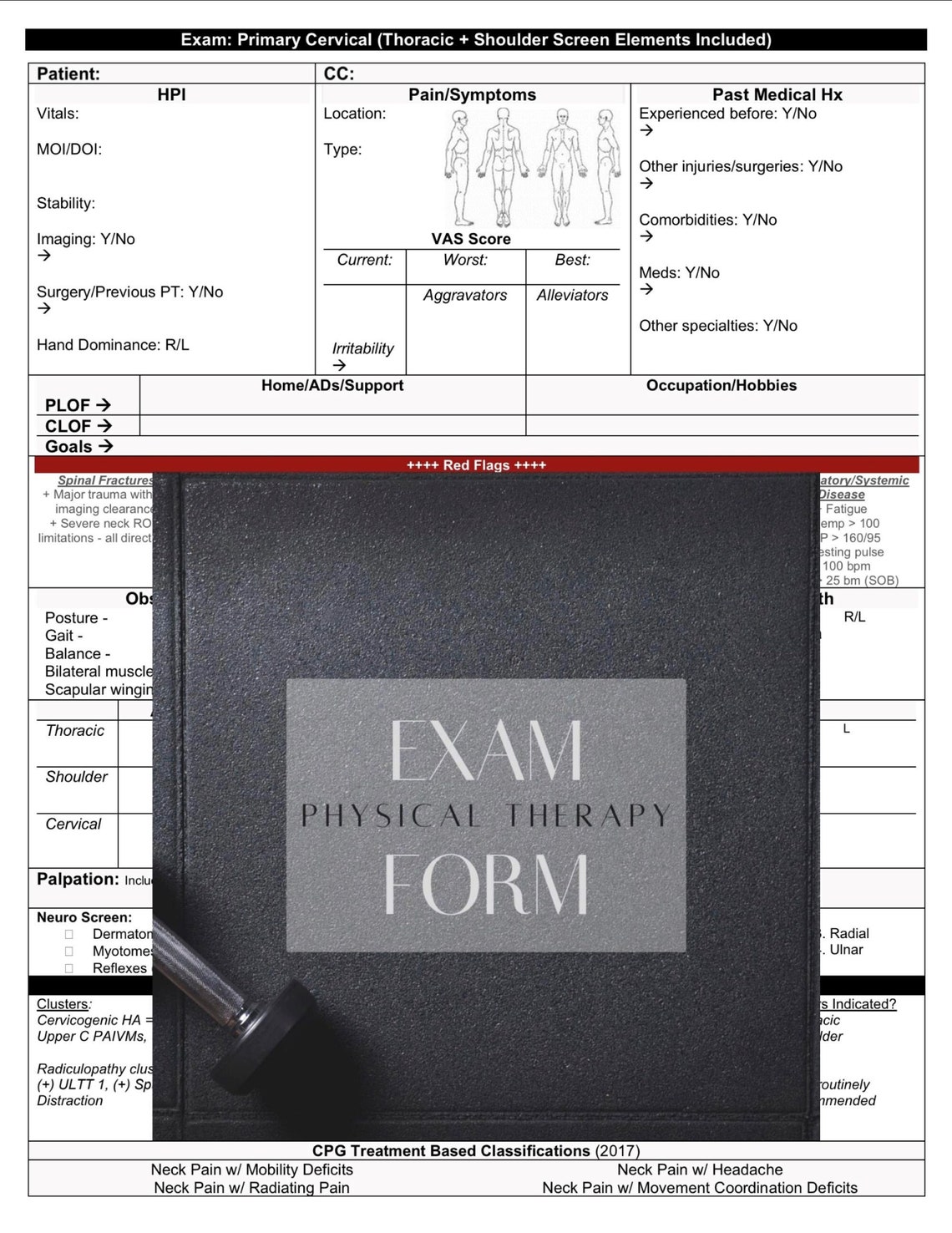 Detailed Cervical Spine Exam the PT Locale - Etsy