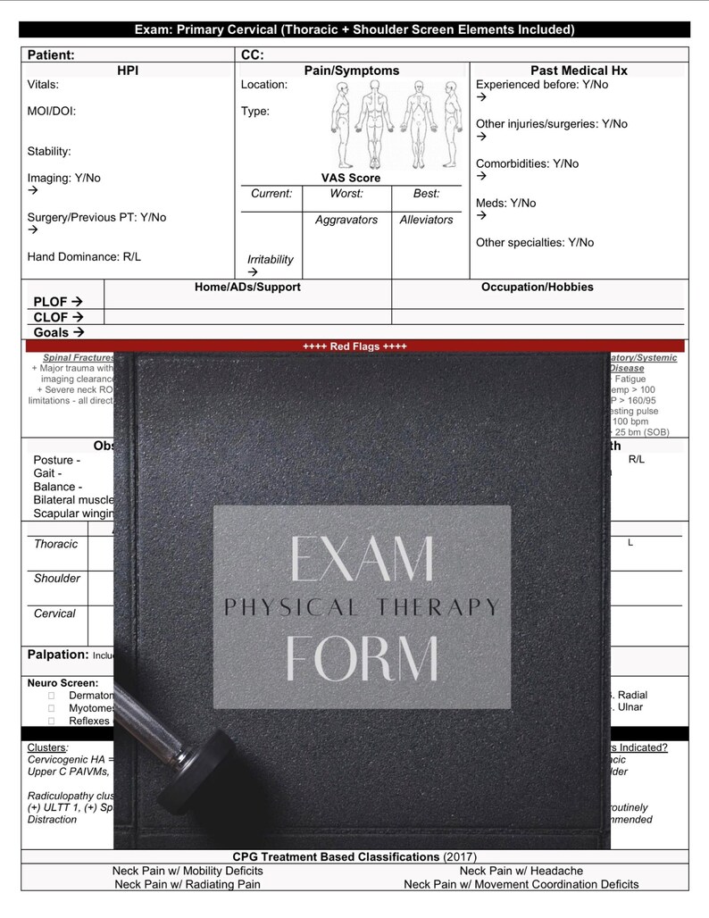 Detailed Cervical Spine Exam the PT Locale - Etsy
