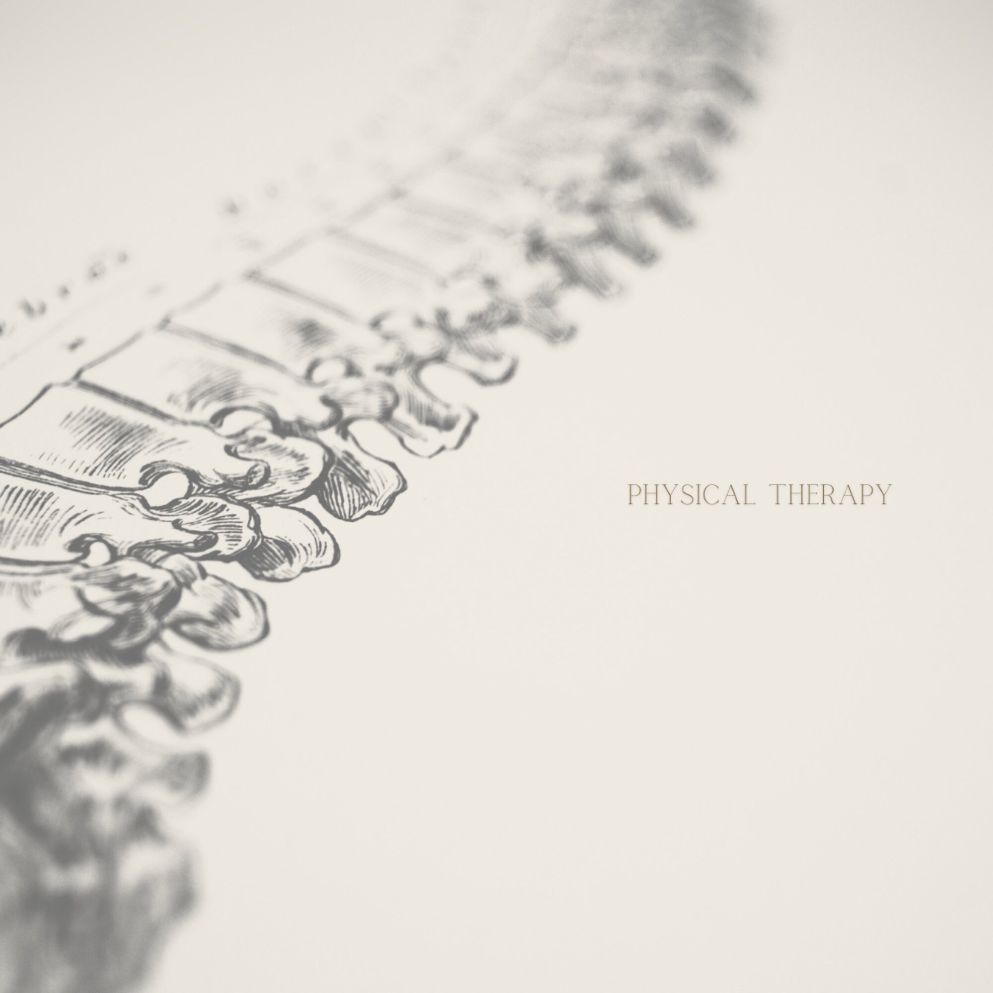 The Physical Therapy Glossy Sticker Set - Etsy