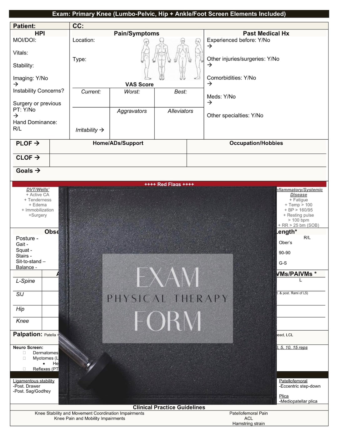 Detailed Knee Exam - the PT Locale - Etsy