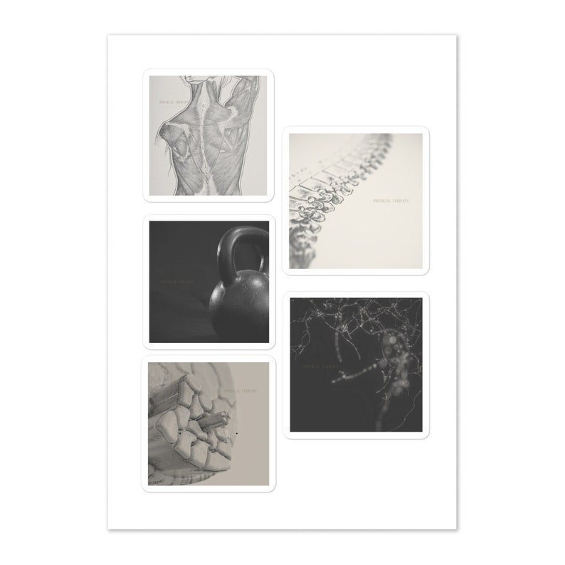 The Physical Therapy Glossy Sticker Set - Etsy