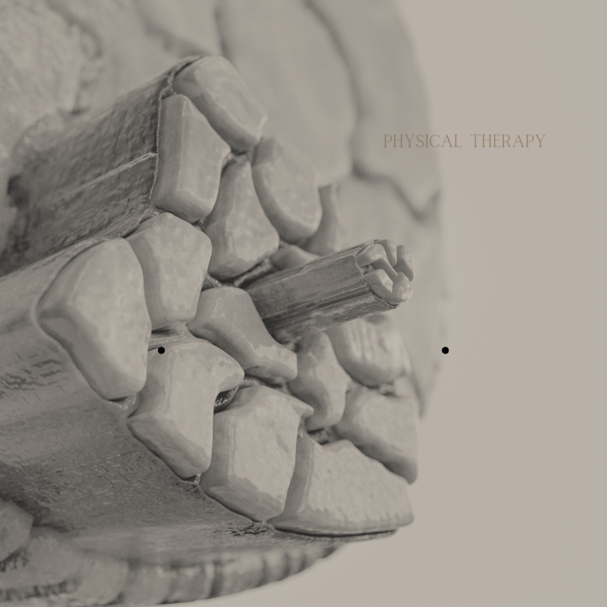 The Physical Therapy Glossy Sticker Set - Etsy