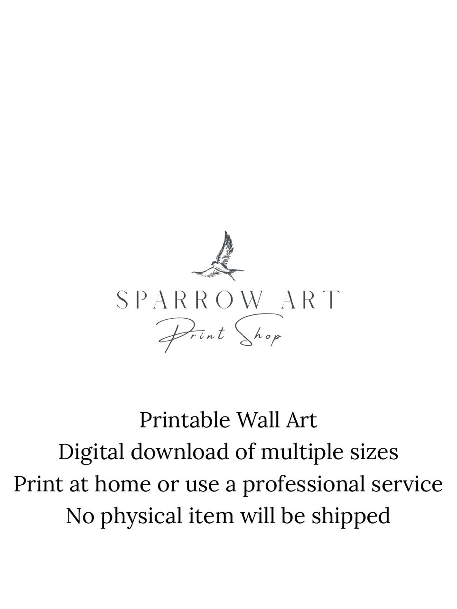 Sparrow Study 2 Modern Sparrow Sketch Art Printable - Etsy