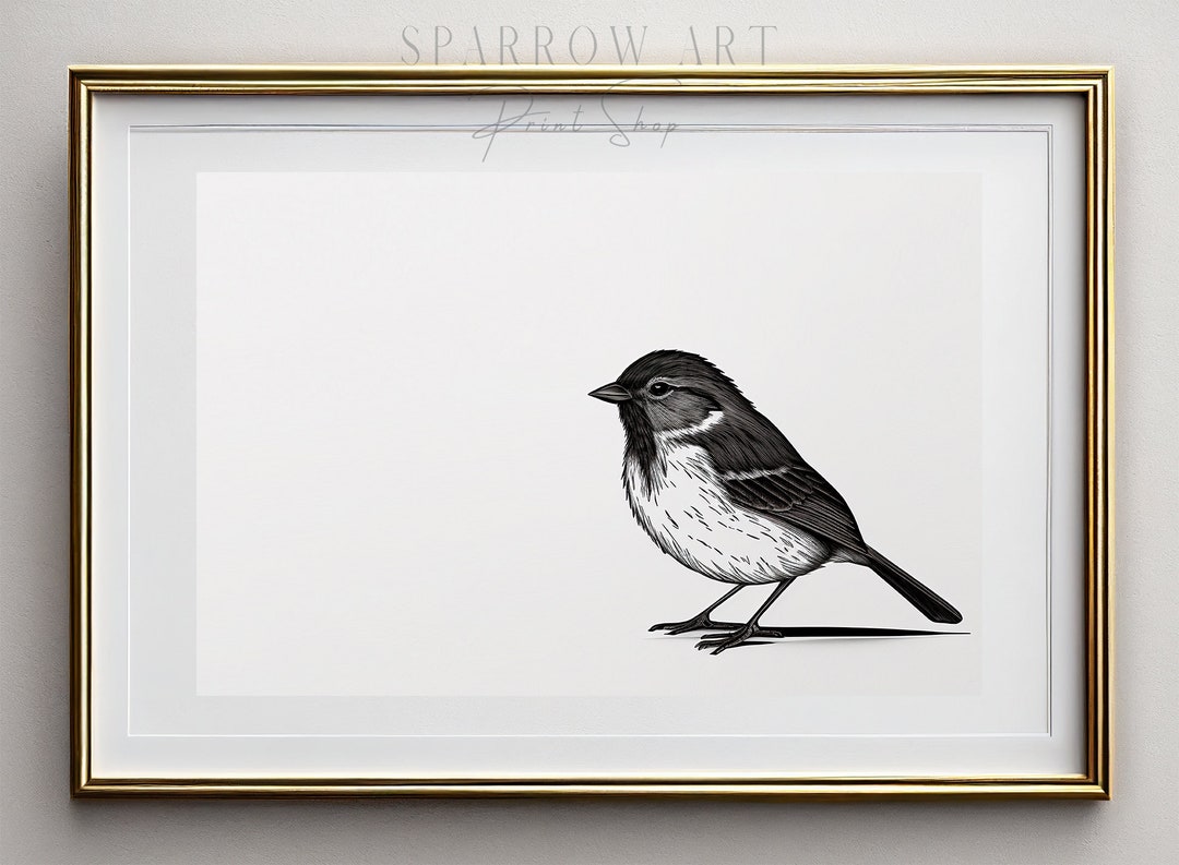 Sparrow Study 2 Modern Sparrow Sketch Art Printable - Etsy