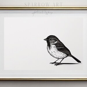 Sparrow Study 2 Modern Sparrow Sketch Art Printable - Etsy