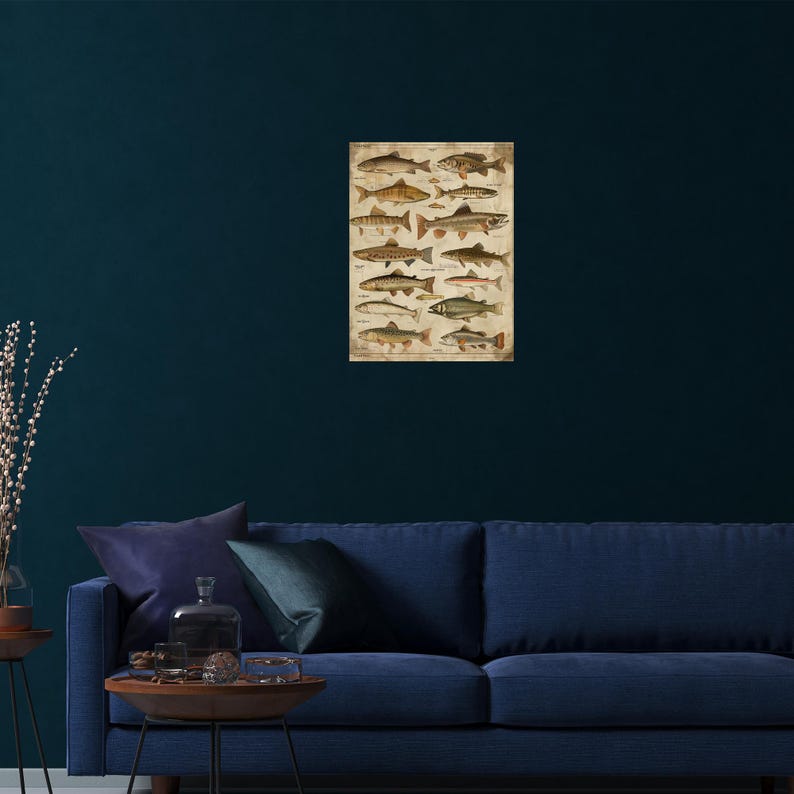 Vintage Fish Chart Wall Art Rustic Charm Vintage-style Illustrated ...