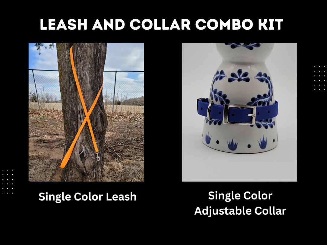 Biothane Dog Leash and Matching Collar Combo Kit - Etsy