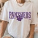 Panthers SVG PNG DXF, Distressed Panther Paw Shirt Sublimation Design ...