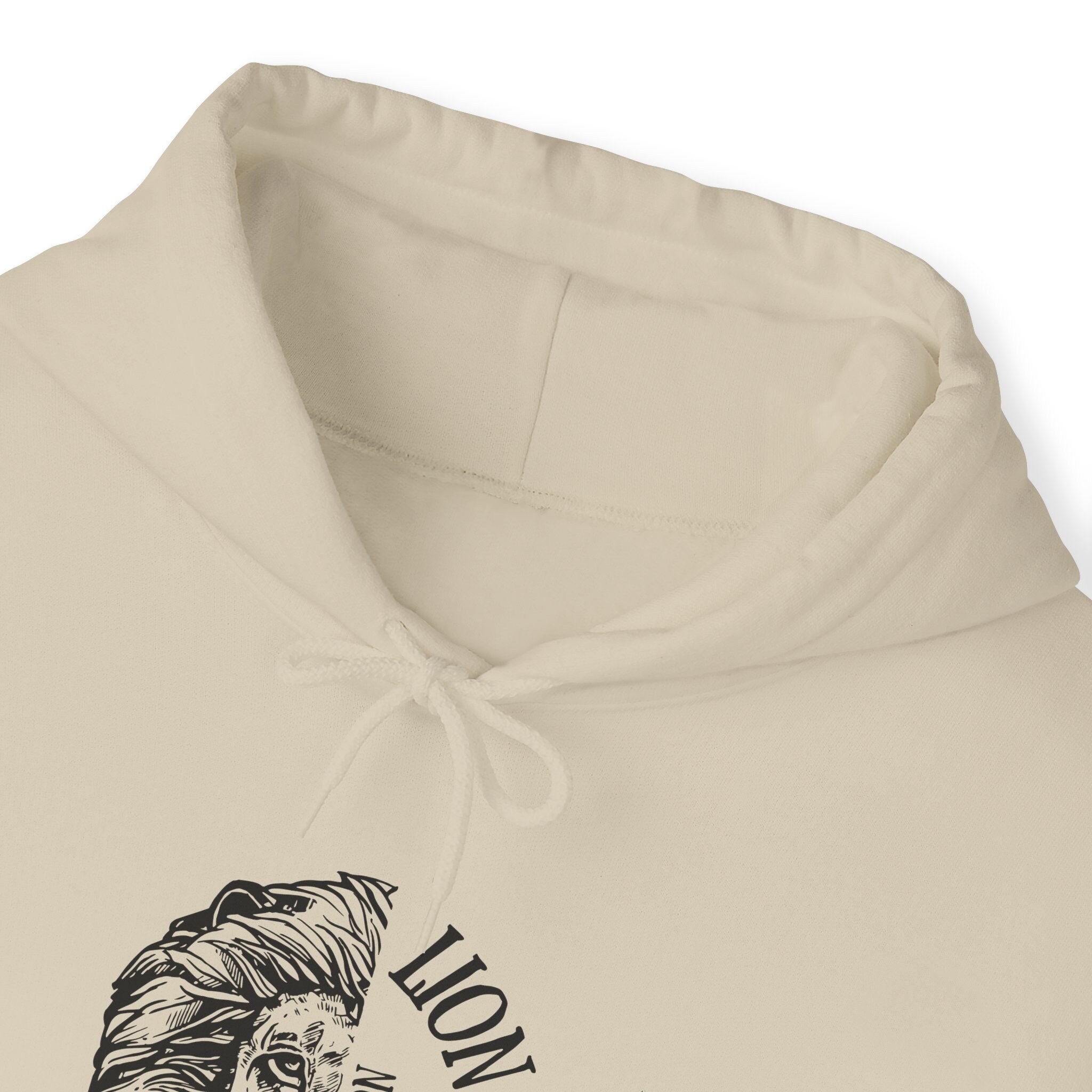 Christian Clothing, Lion of Judah Hoodie, Christian Jumper, Jesus ...
