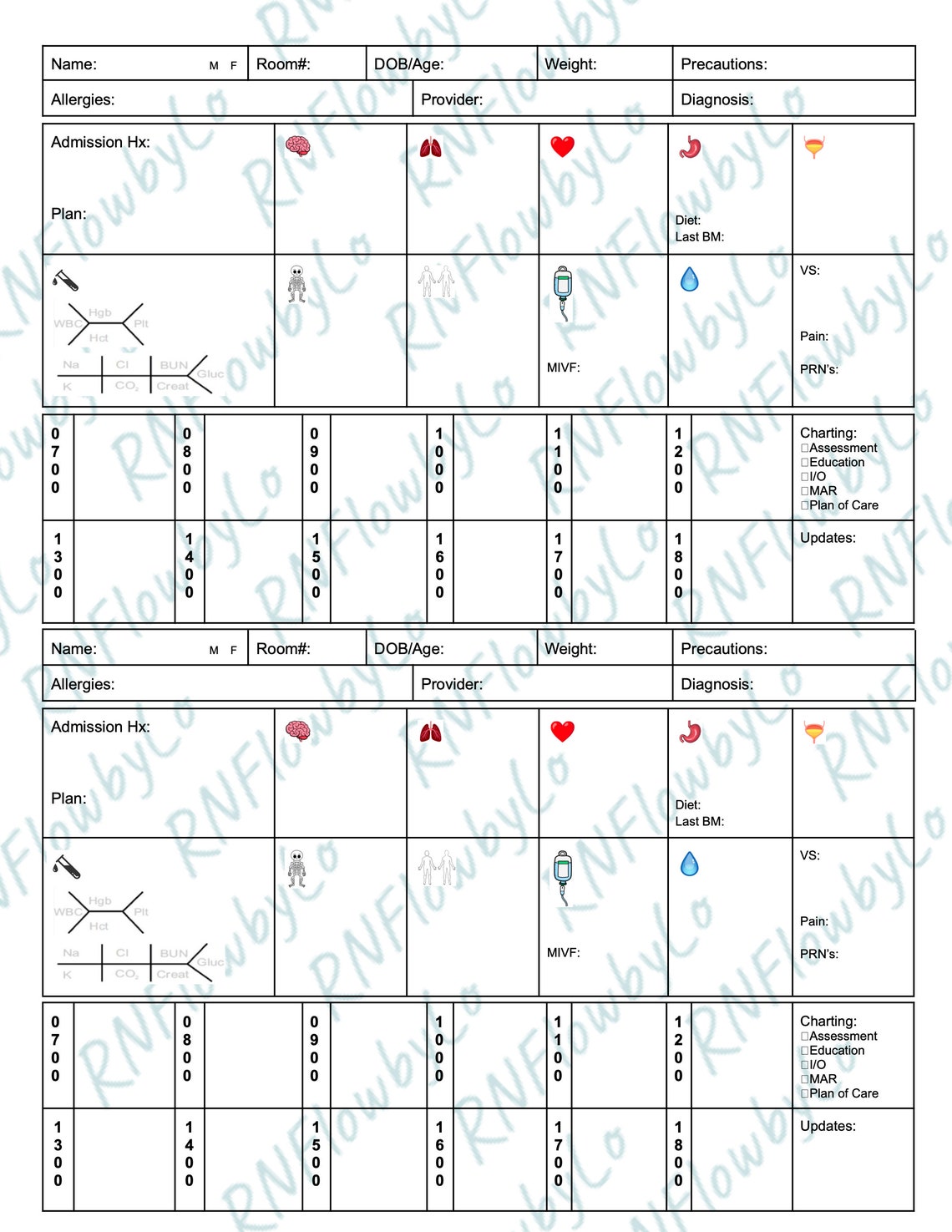 Nursing Report Sheet- 2 Patients- With Hourly Organization for Day ...