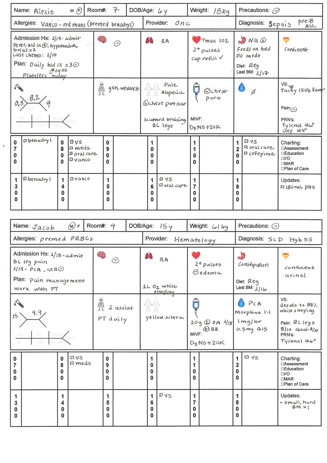 Nursing Report Sheet- 2 Patients- With Hourly Organization for Day ...