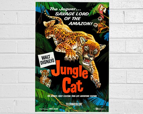 Movie Poster Reproductions