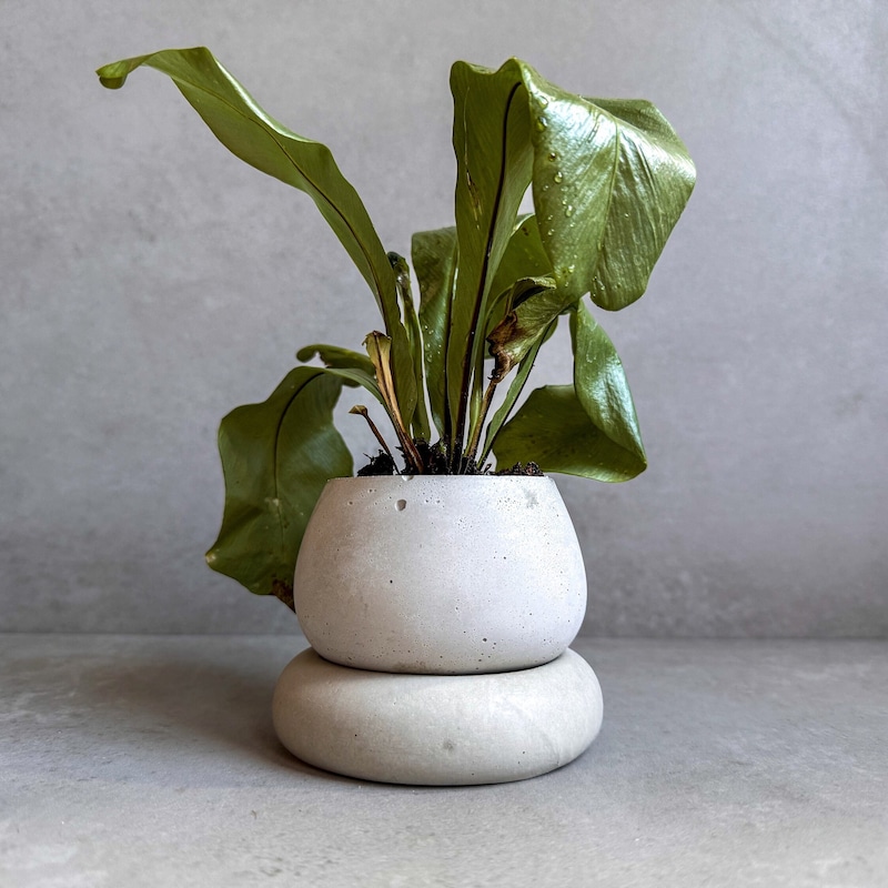 Cute Unique Plant Pots - Etsy