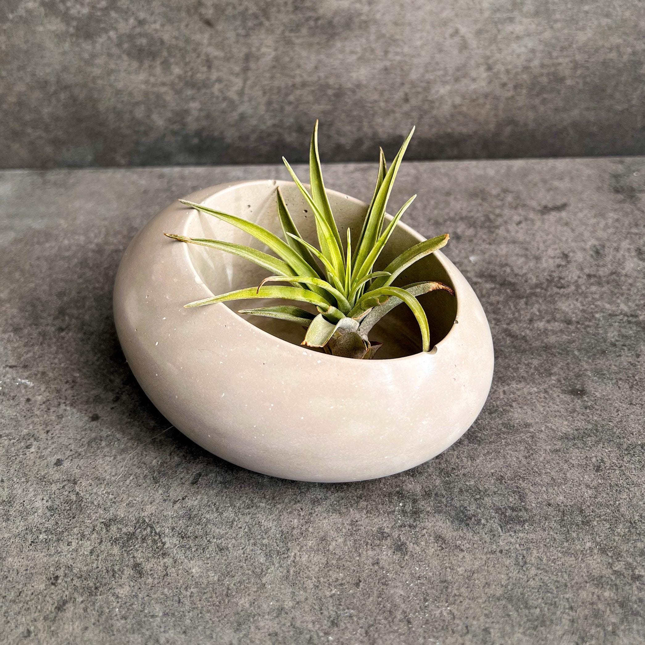 Concrete Minimalist Planter, Slanted Pot, Table Centerpiece ...
