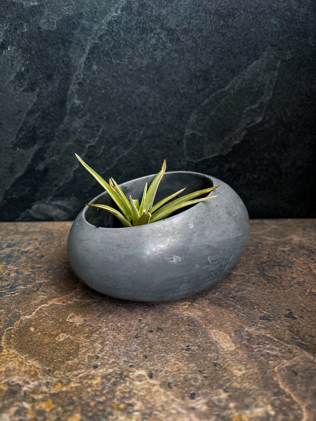 Concrete Minimalist Planter Slanted Pot Table Centerpiece - Etsy