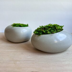 Concrete Minimalist Planter, Slanted Pot, Table Centerpiece ...