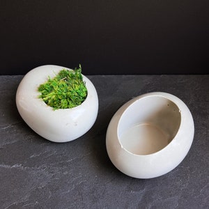 Concrete Minimalist Planter Slanted Pot Table Centerpiece - Etsy