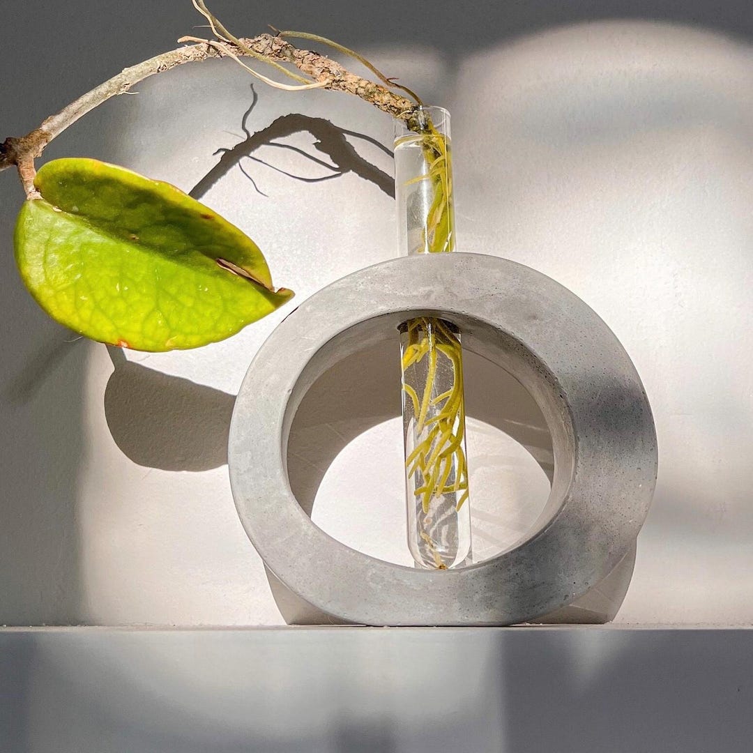 Concrete Bud Vase, Cement Donut Vase, Irregular Test Tube Vase ...