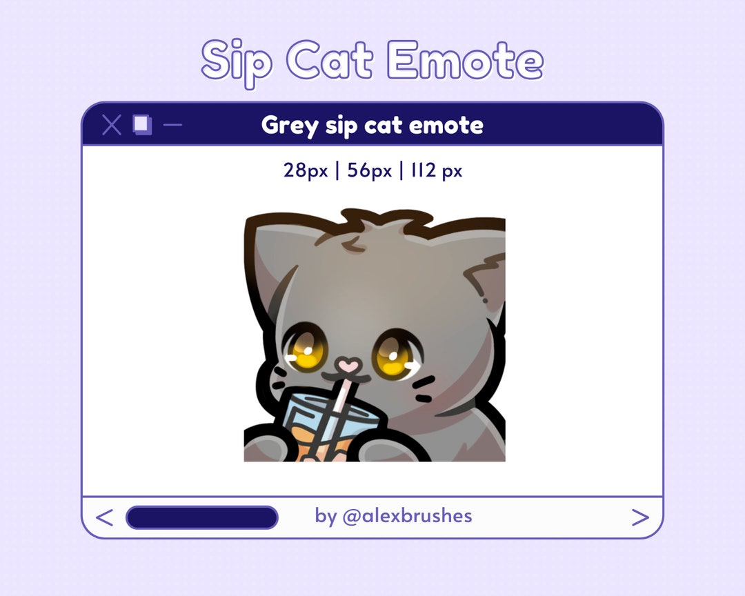 Cute Grey Cat Sip Emote Kitten Sip Twitch Emote Twitch Discord ...