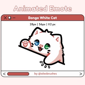 Cute White Bongo Cat Animated Emote, White Cat Heterochromia Emote ...