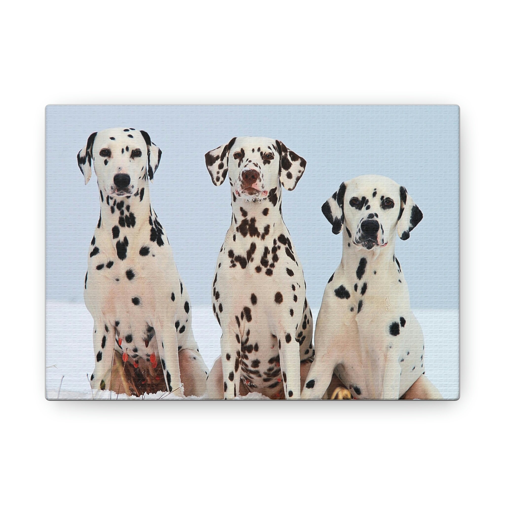 Dalmatians - Etsy