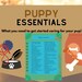 New Puppy Essentials | New Puppy Preparation | Printable New Puppy ...