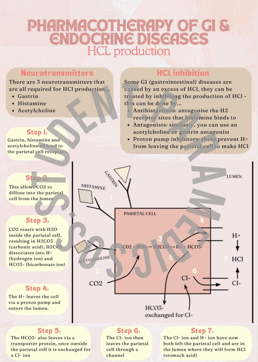 GI and Endocrine Pharmacotherapy / Pharmacology- Student Paramedic ...